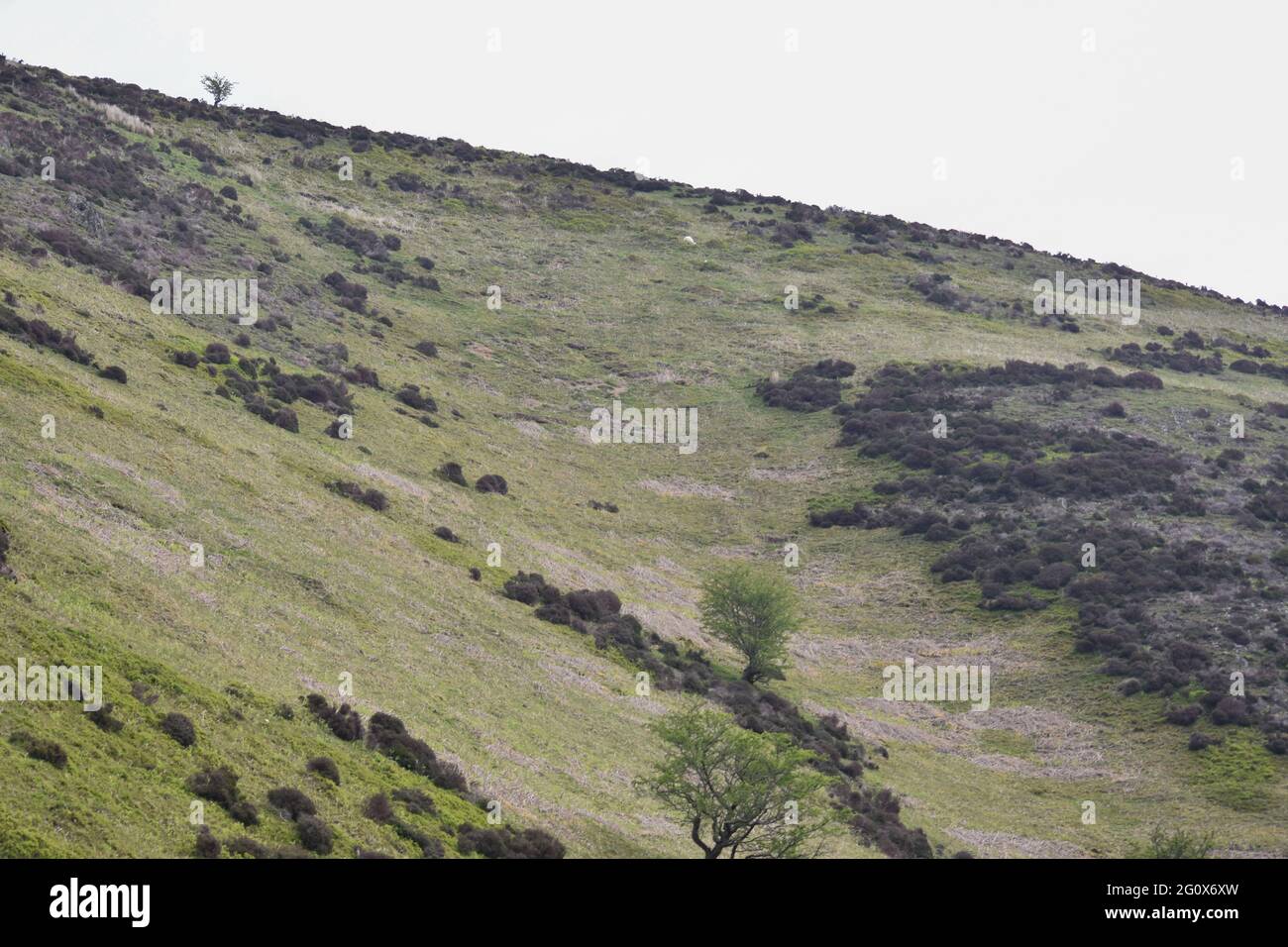 The beautiful Long Mynd including waterfalls, scenery and beauty Stock ...