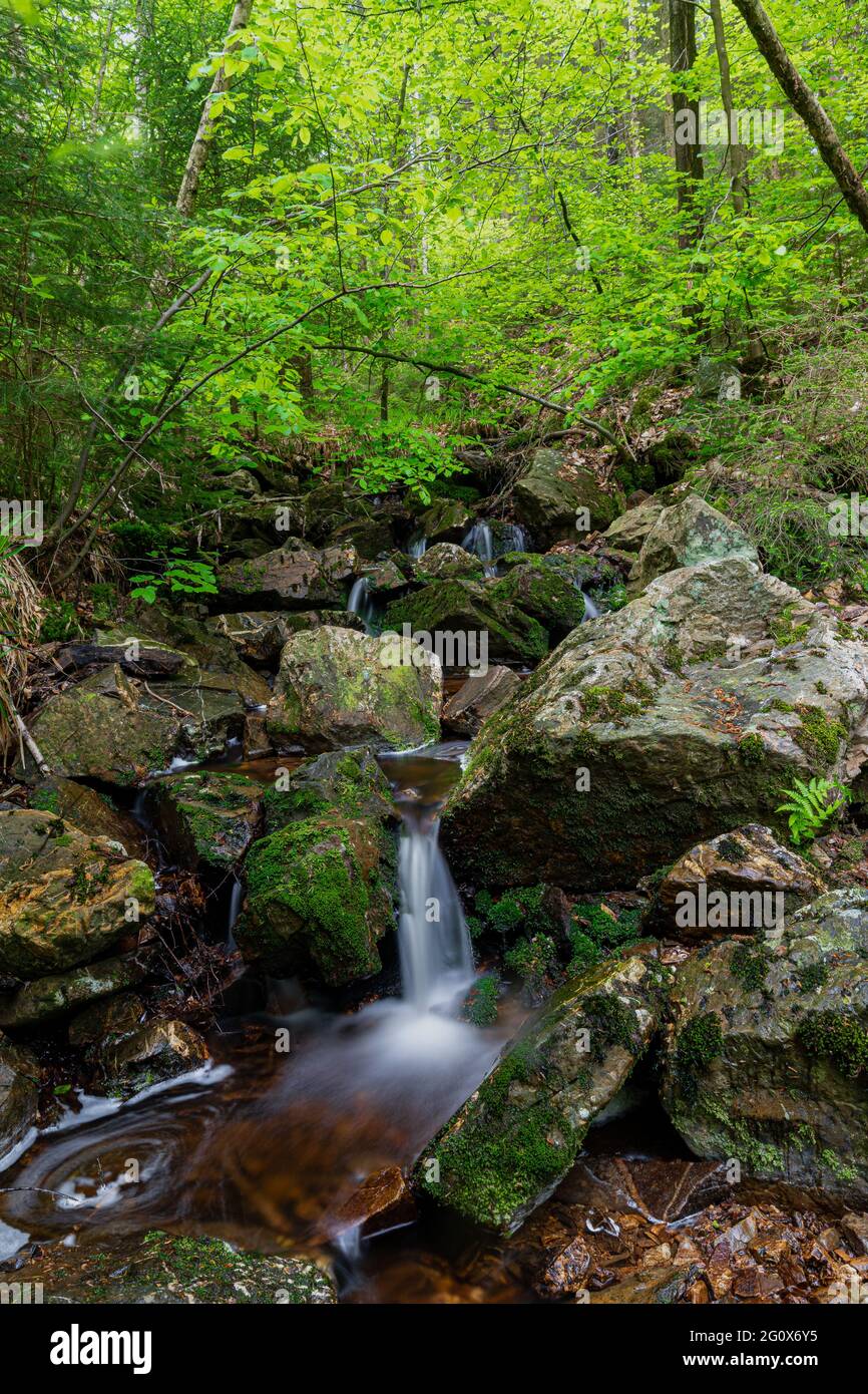 Statte river in the Belgium Ardennes is a small river full of cascades ...