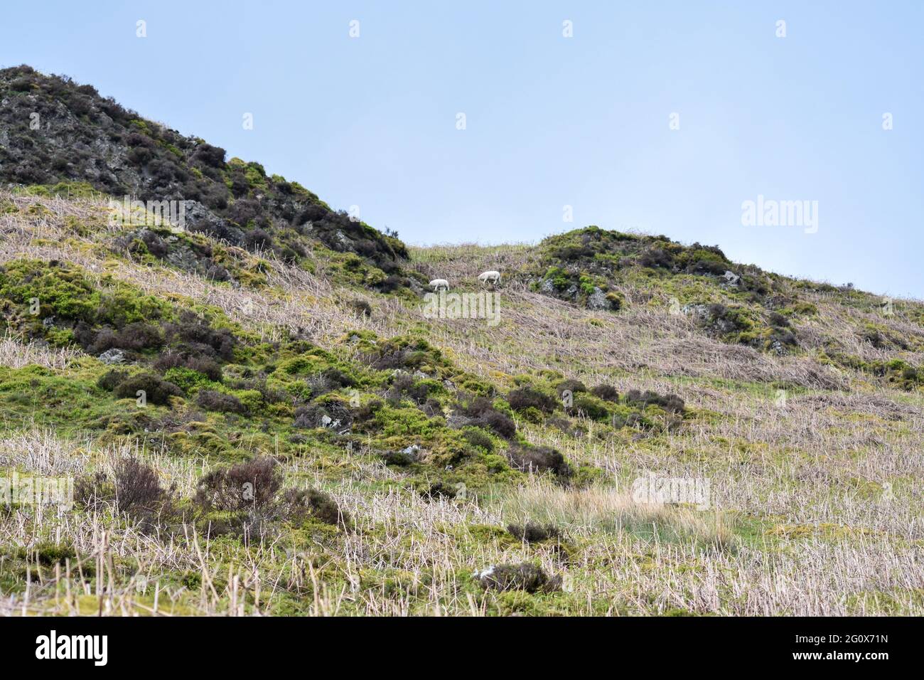The beautiful Long Mynd including waterfalls, scenery and beauty Stock ...