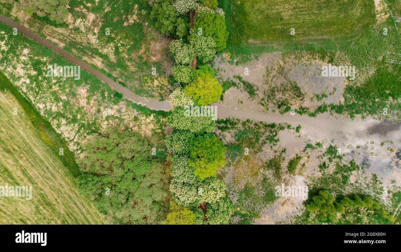 Aerial fresh spring landscape. Stunning view of green trees, meadow and ...