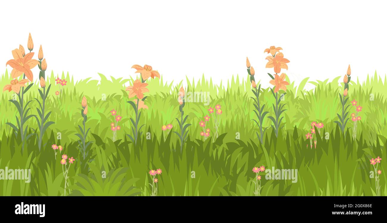 Meadow with wildflowers. Seamless illustration. Grass close-up. Green ...
