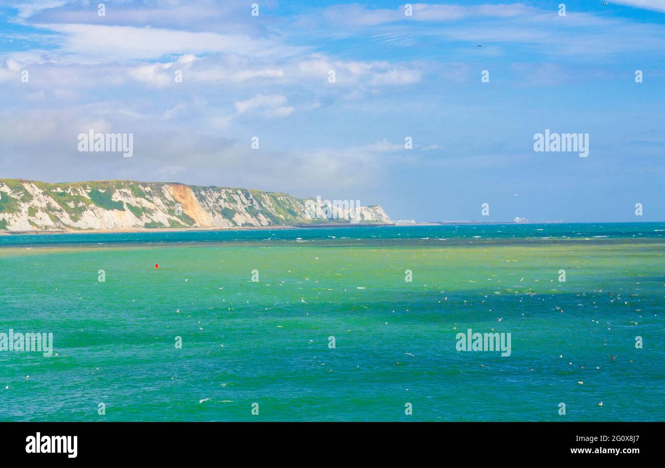 View of Folkestone East Cliffs and Warren Country Park, Copt point ...
