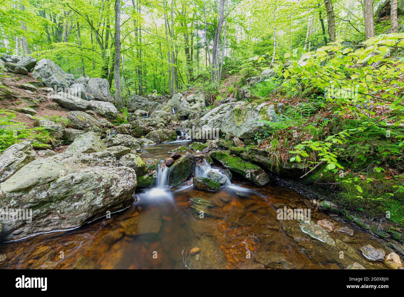 Statte river in the Belgium Ardennes is a small river full of cascades ...