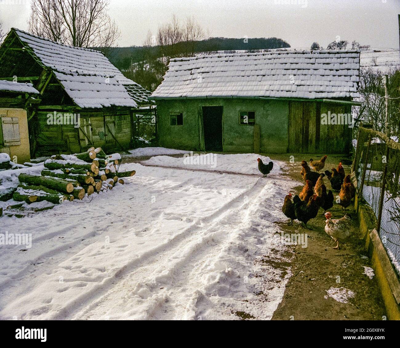Photo of a typical Transylvanian rural yard shot on Fujicolor 200 film ...