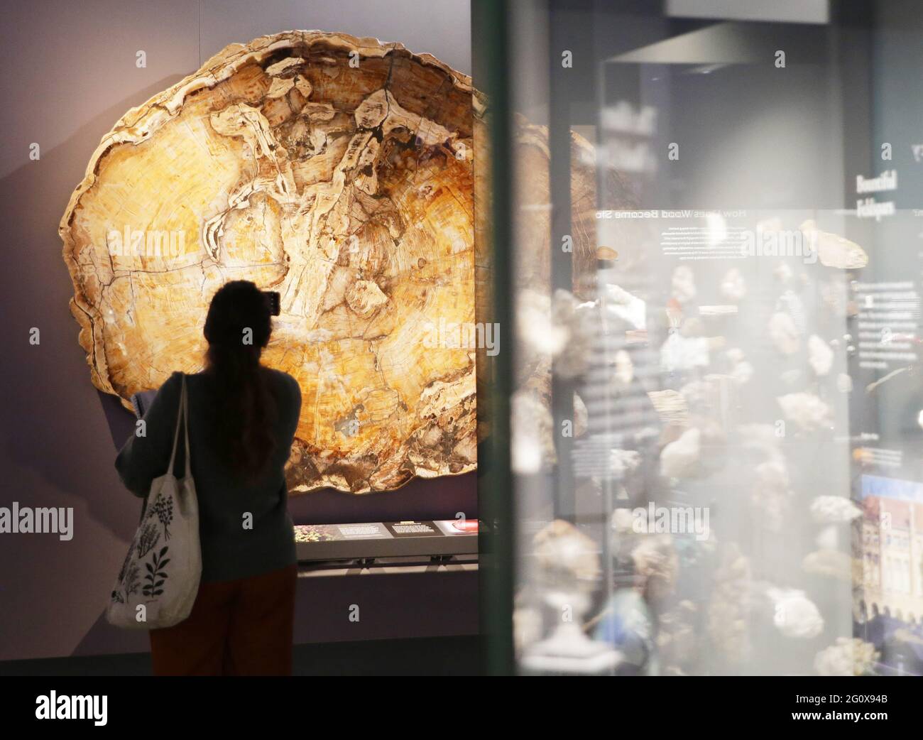 Halls of gems and minerals hi-res stock photography and images - Alamy