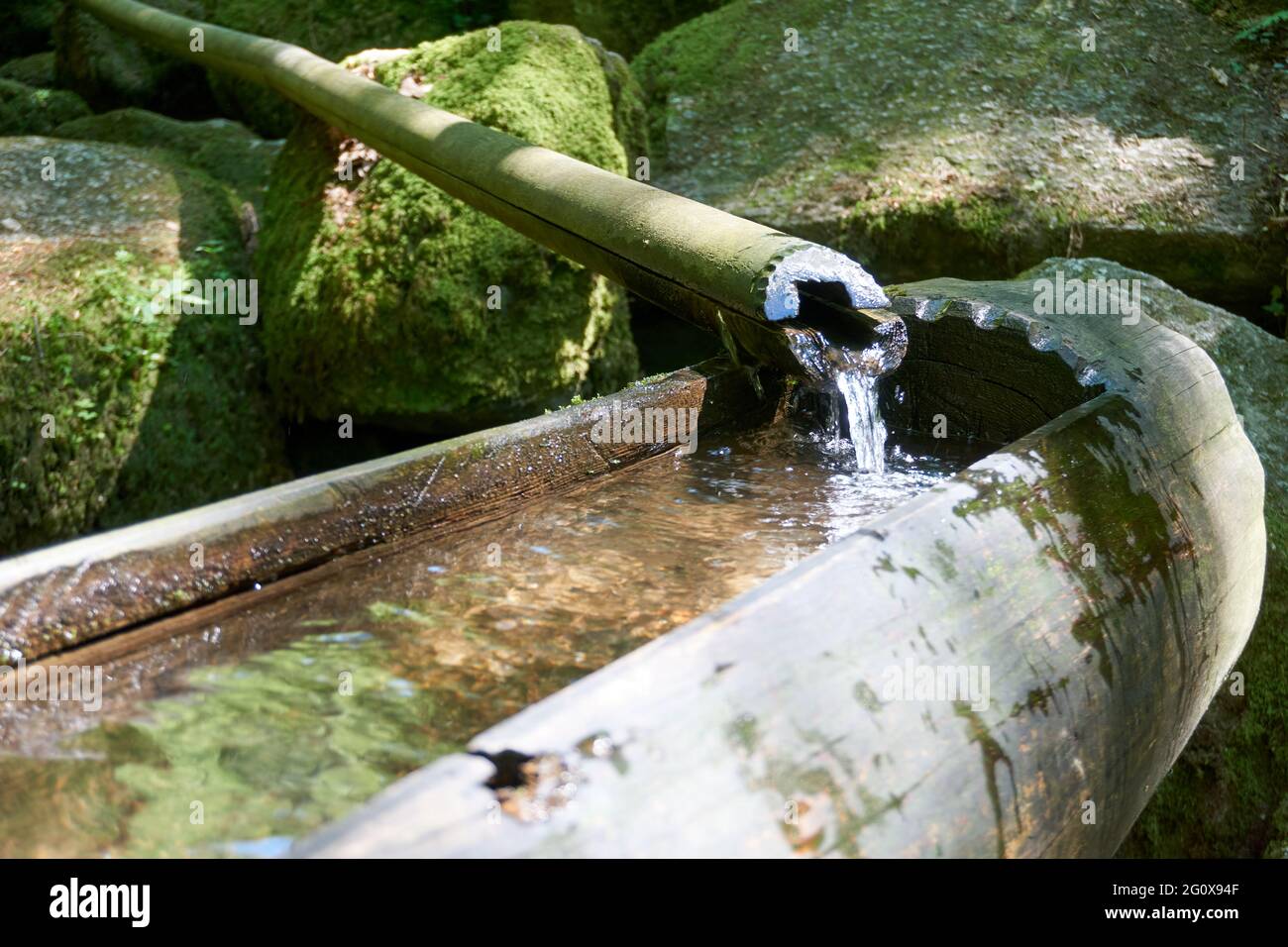 Closeup of natural spring water flowing from a pipe into a tank Stock ...