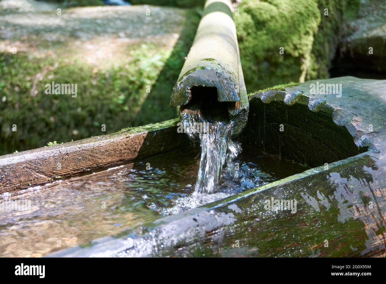 Closeup of natural spring water flowing from a pipe into a tank Stock ...