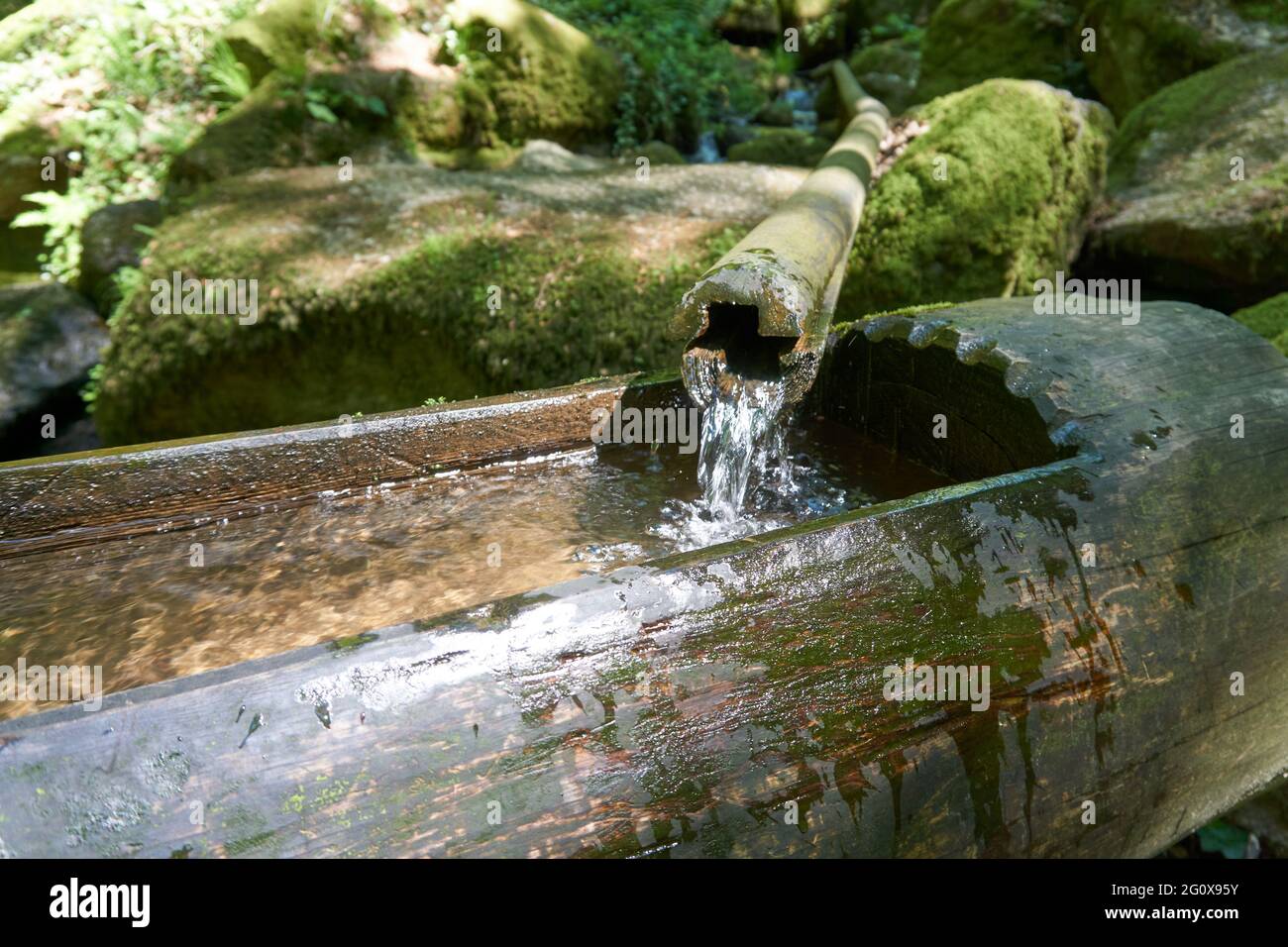 Closeup of natural spring water flowing from a pipe into a tank Stock ...