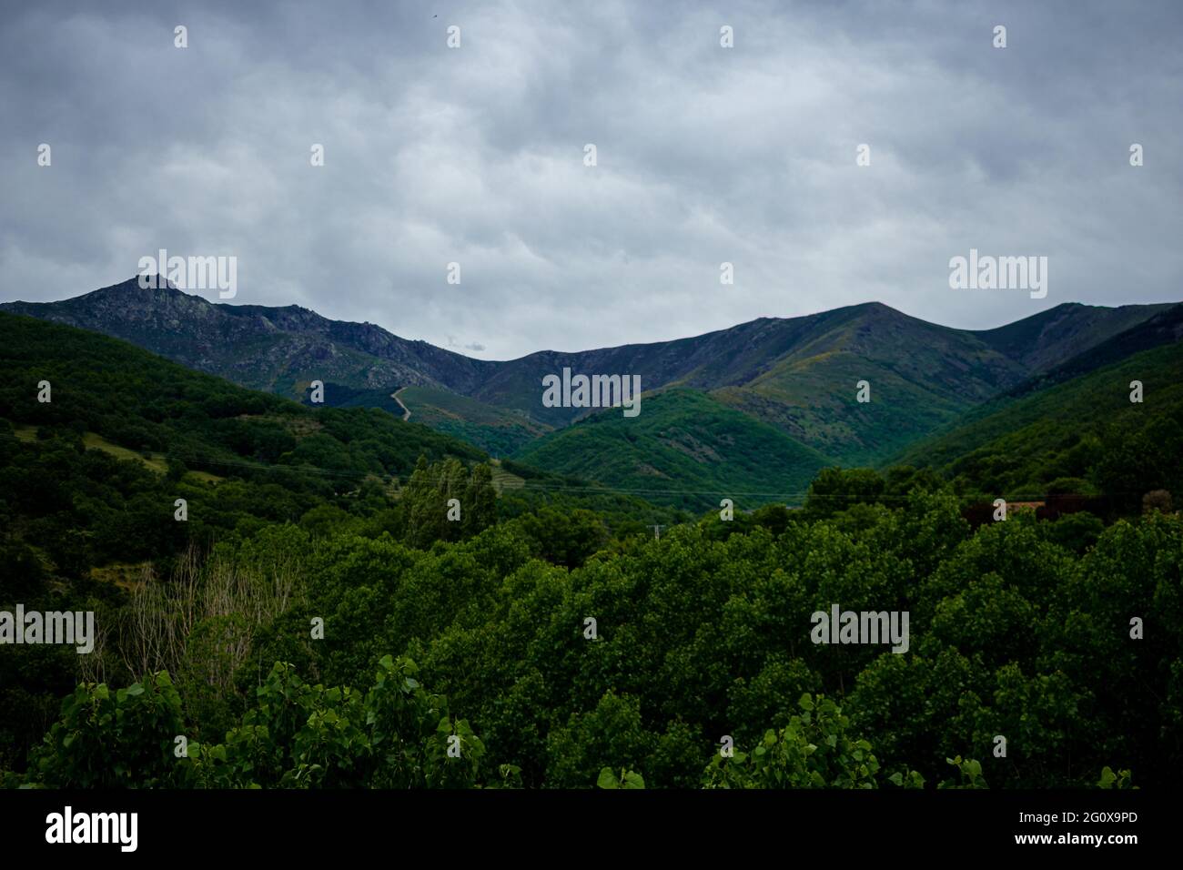Beautiful view of the landscape with the buildings of the city visible ...