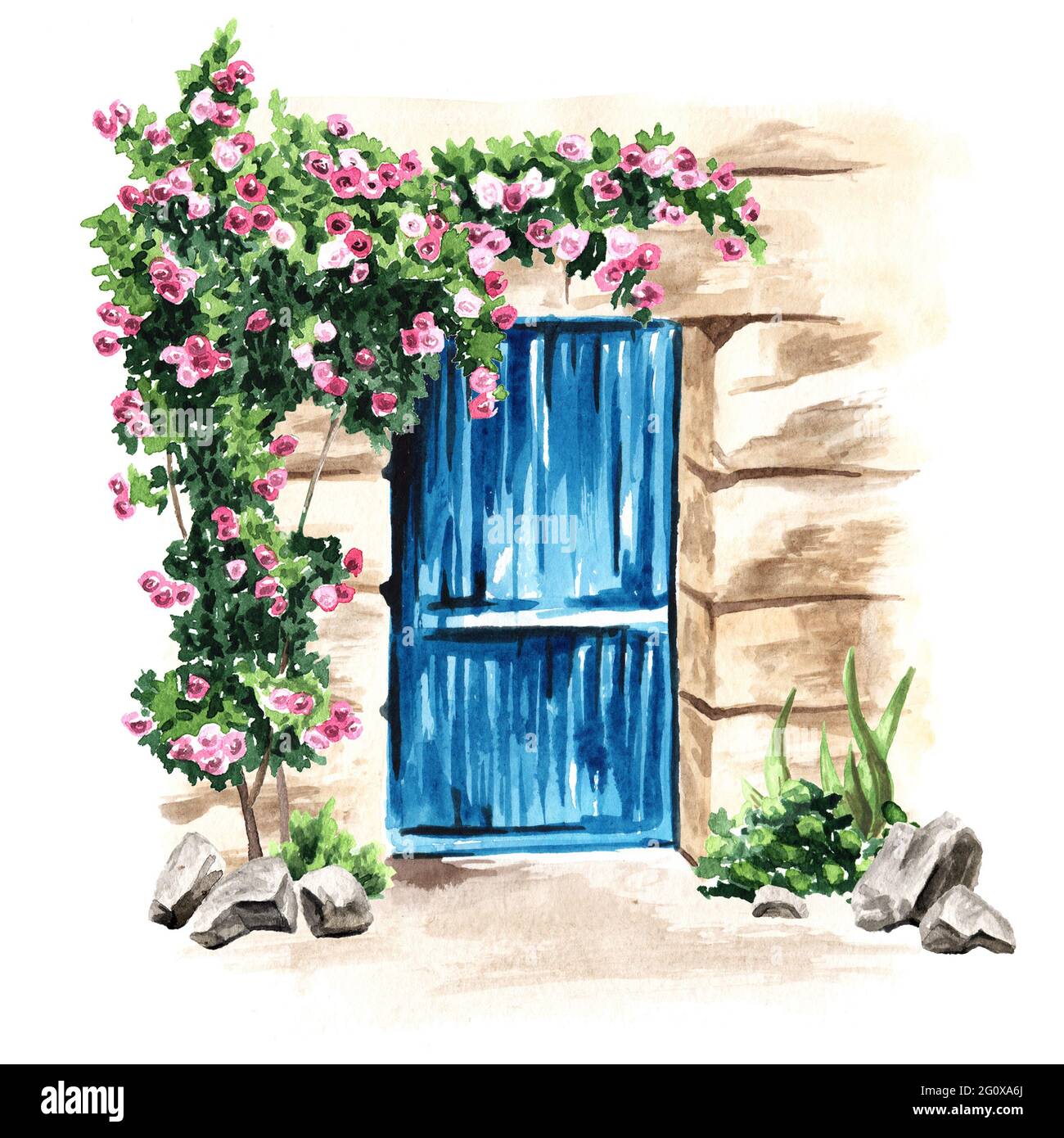 Climbing wall in garden Cut Out Stock Images & Pictures - Alamy