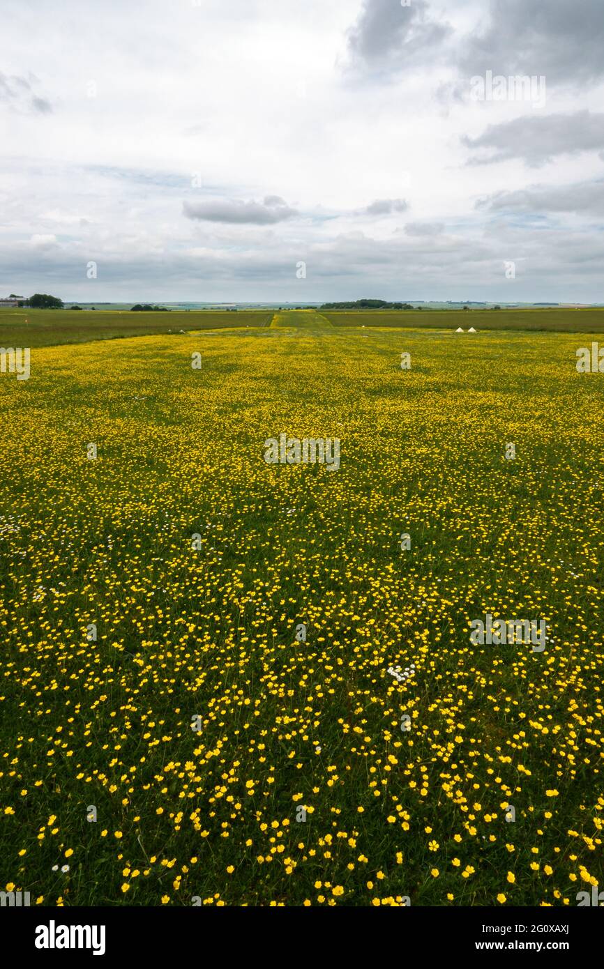 Grass runway hi-res stock photography and images - Alamy