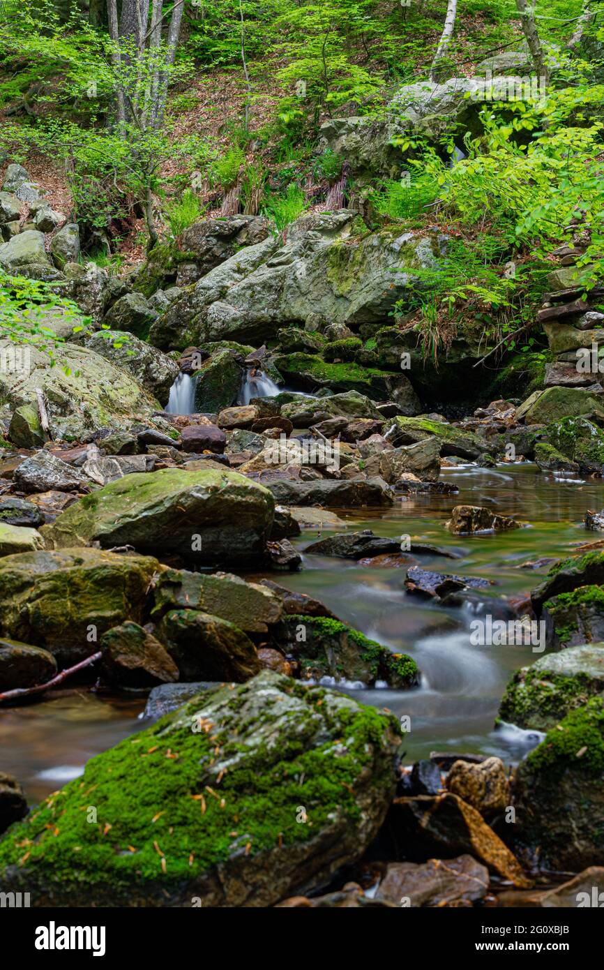 Statte river in the Belgium Ardennes is a small river full of cascades ...