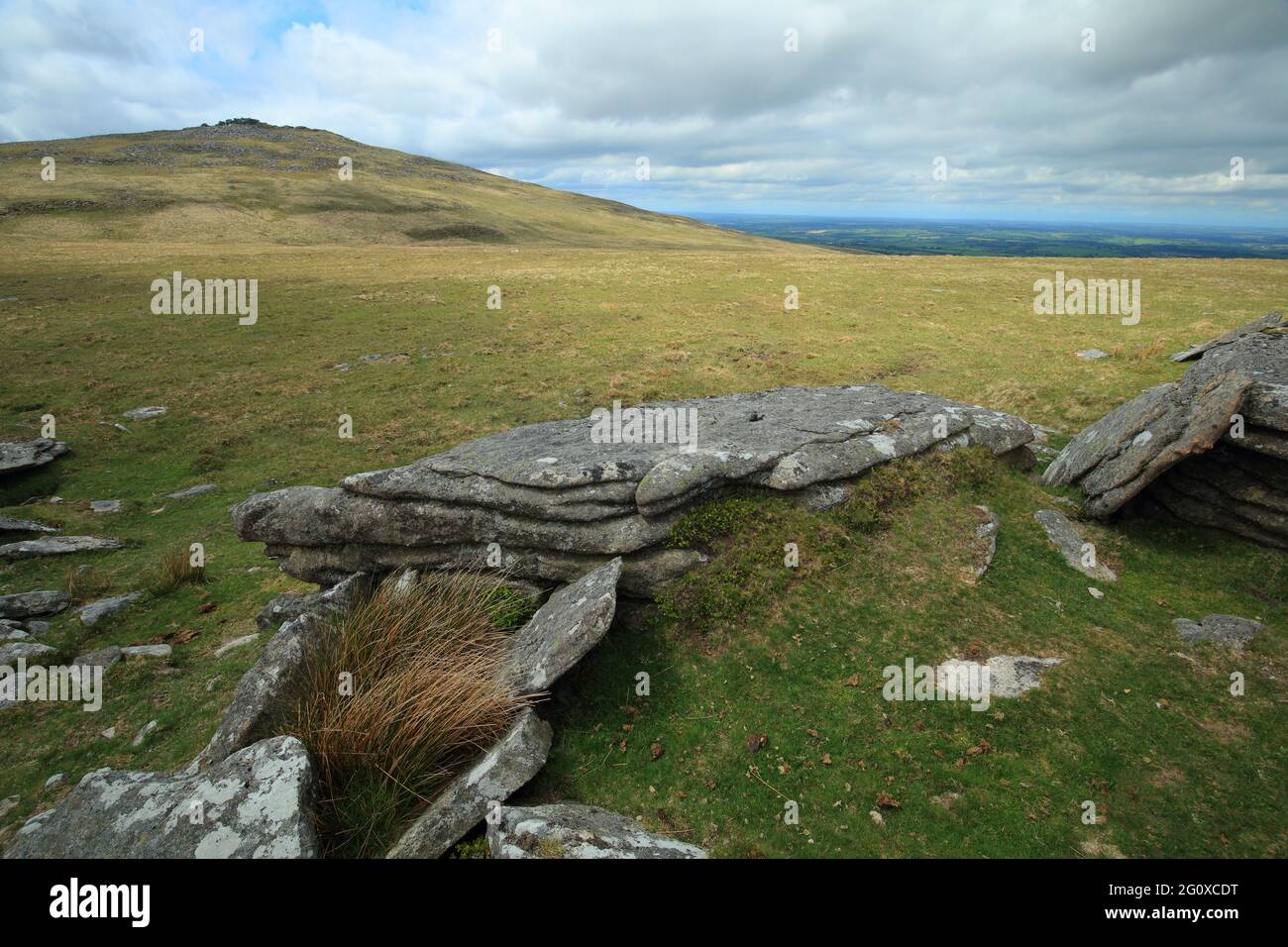 Yes Tor view from West Mill Tor, early summer, Dartmoor, Devon, England ...