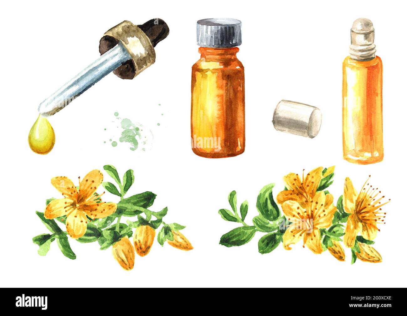 St. John’s wort or Hypericum perforatum plant and essential oil set ...