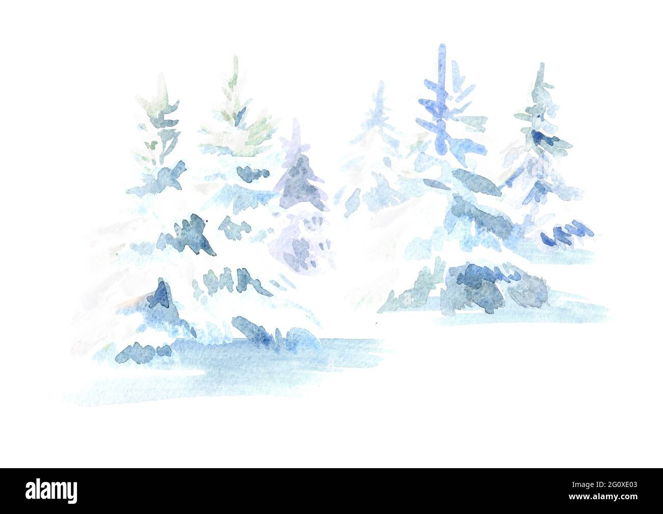 Winter forest. Christmas fir tree with snow. Watercolor hand drawn ...