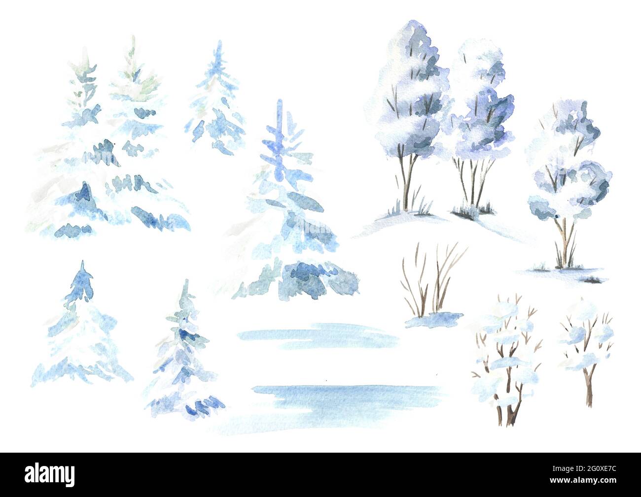 Winter tree and fir set. Watercolor hand drawn illustration, isolated ...