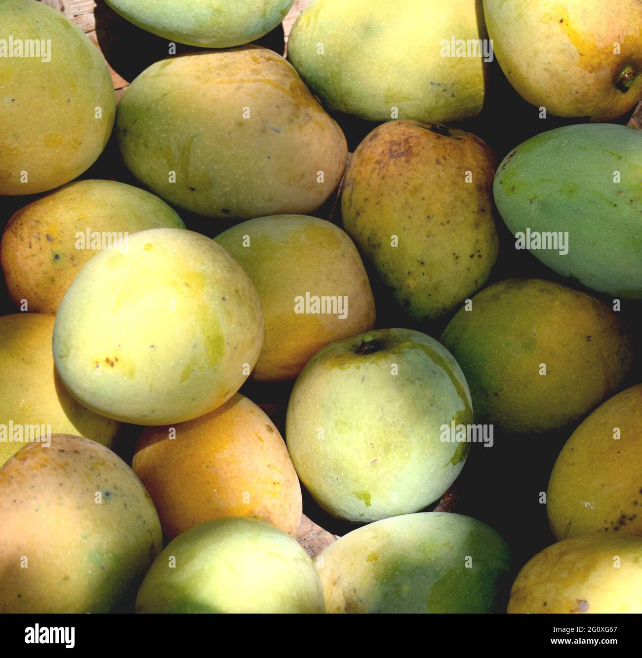 fresh raw mango heap as background on market Stock Photo - Alamy