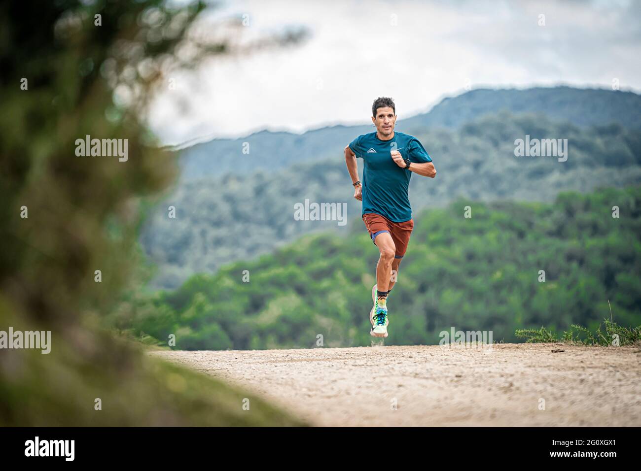 Boy running trail in a mountainous area of and full of trees Stock ...