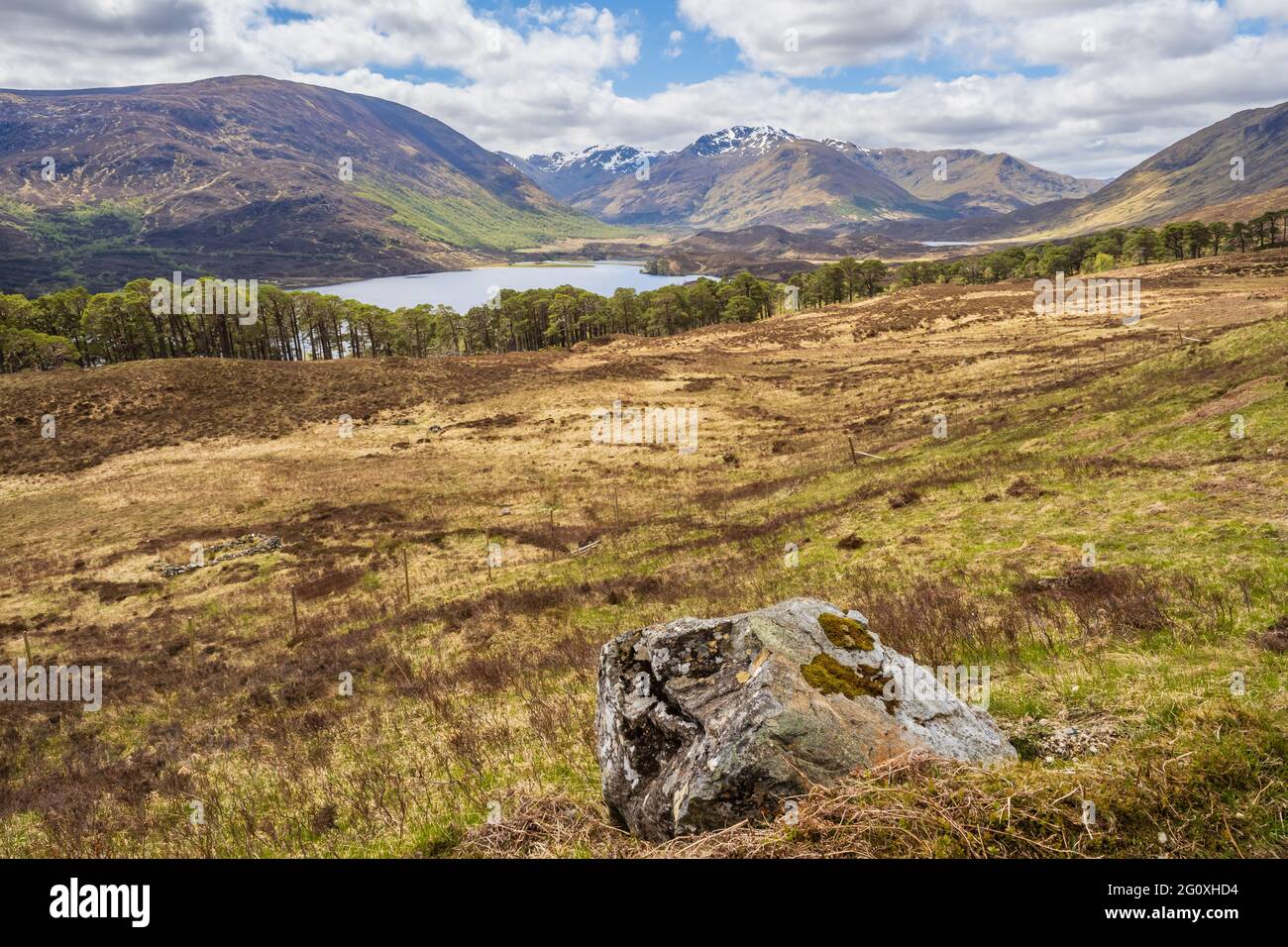Walking the Glen Affric circuit. By common consent, Glen Affric is the ...