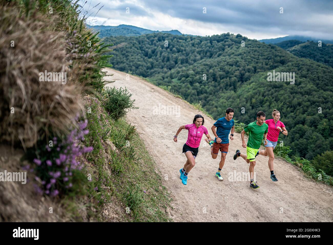 Group of runners running on a trail along beautiful mountain roads ...