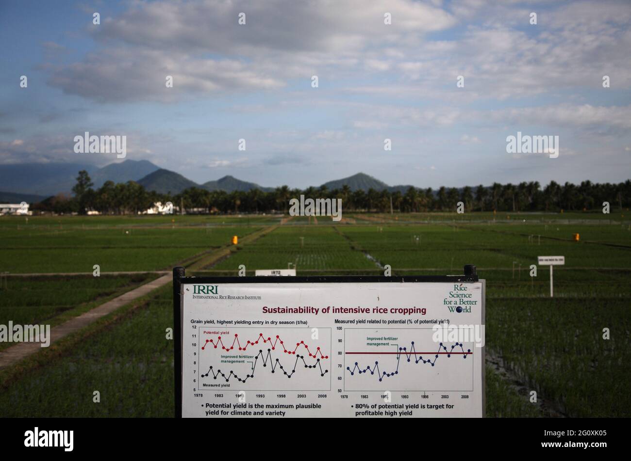 Philippines food production hi-res stock photography and images - Alamy