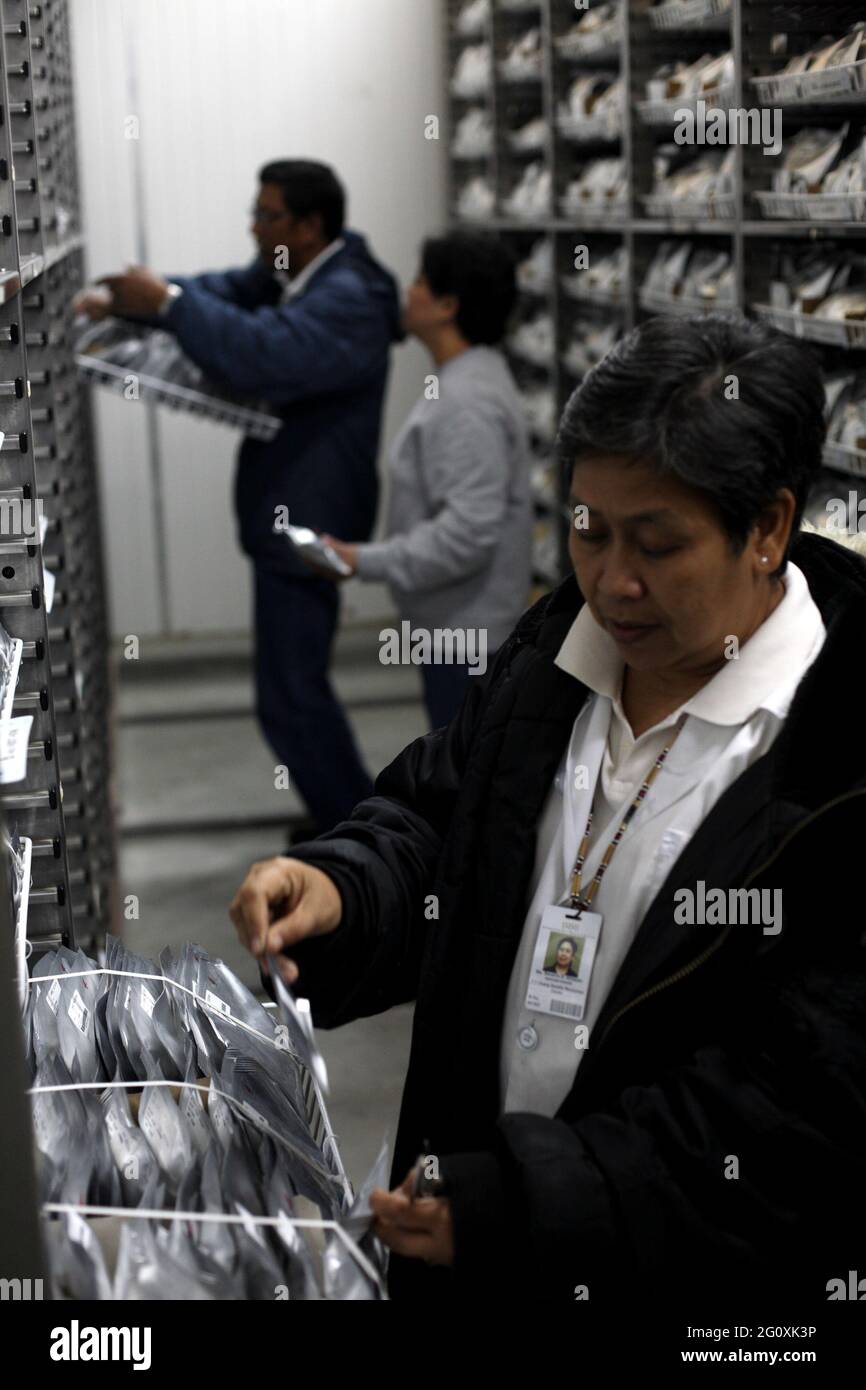The International Rice Research Institute (IRRI) at Los Baños ...