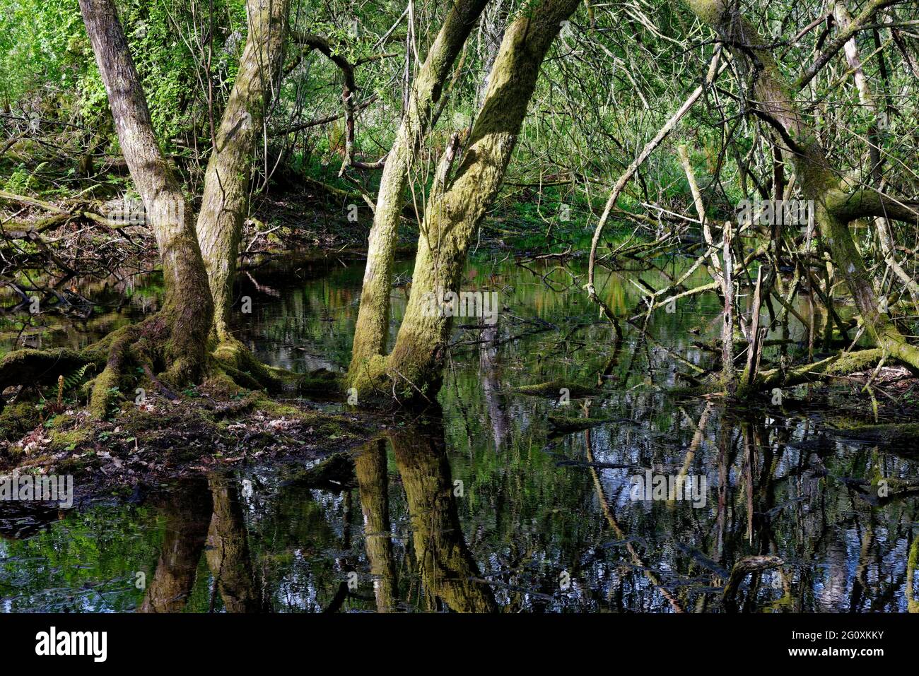 Pool Charterhouse High Resolution Stock Photography and Images - Alamy