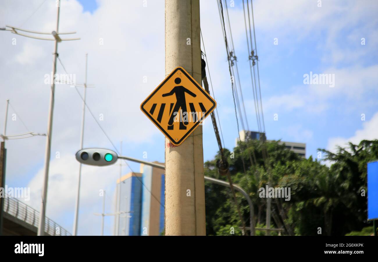 Nuestros Programas - ibif