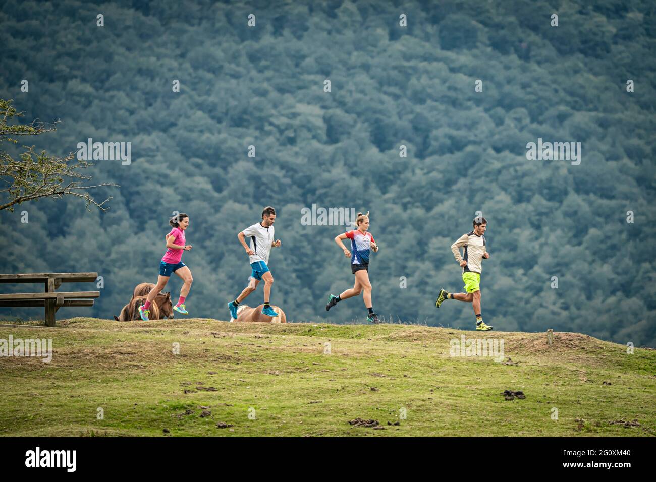 Girl running on trail, traveling through beautiful and beautiful ...