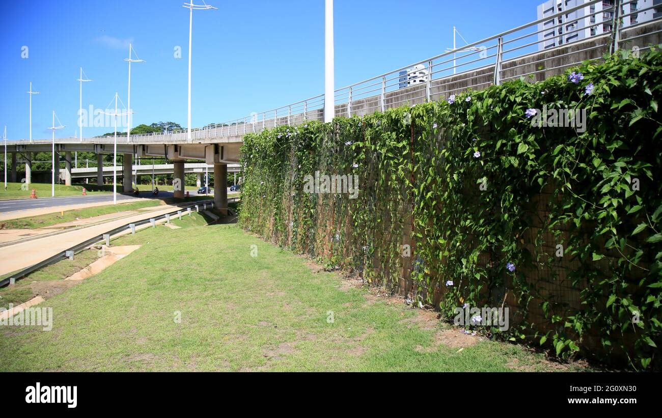 salvador, bahia, brazil - may 26, 2021:landscaping is seen in viaduct ...