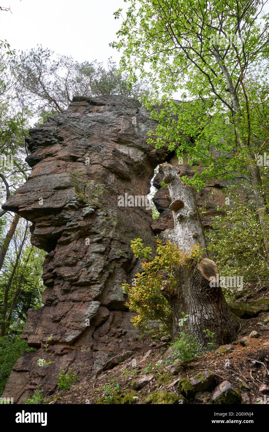 Shot of rocks in a green forest Stock Photo - Alamy