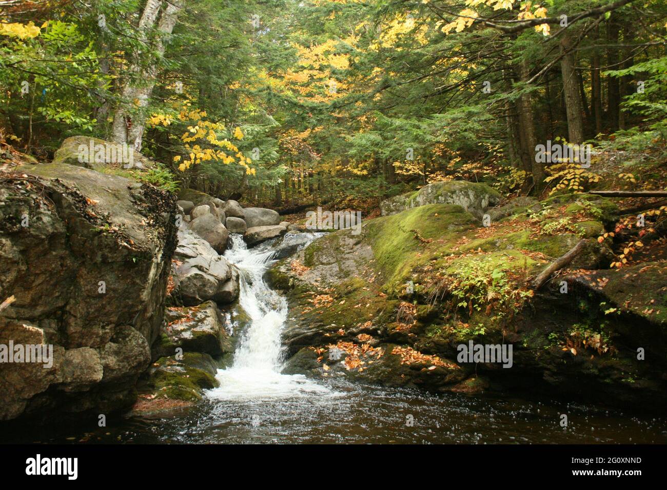 Small forest stream waterfall rolling over wet granite rocks during ...