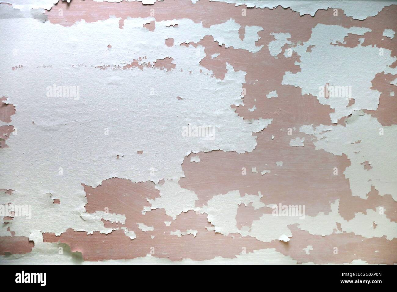 Old peeling paint on a wall or ceiling for stripping and repainting ...
