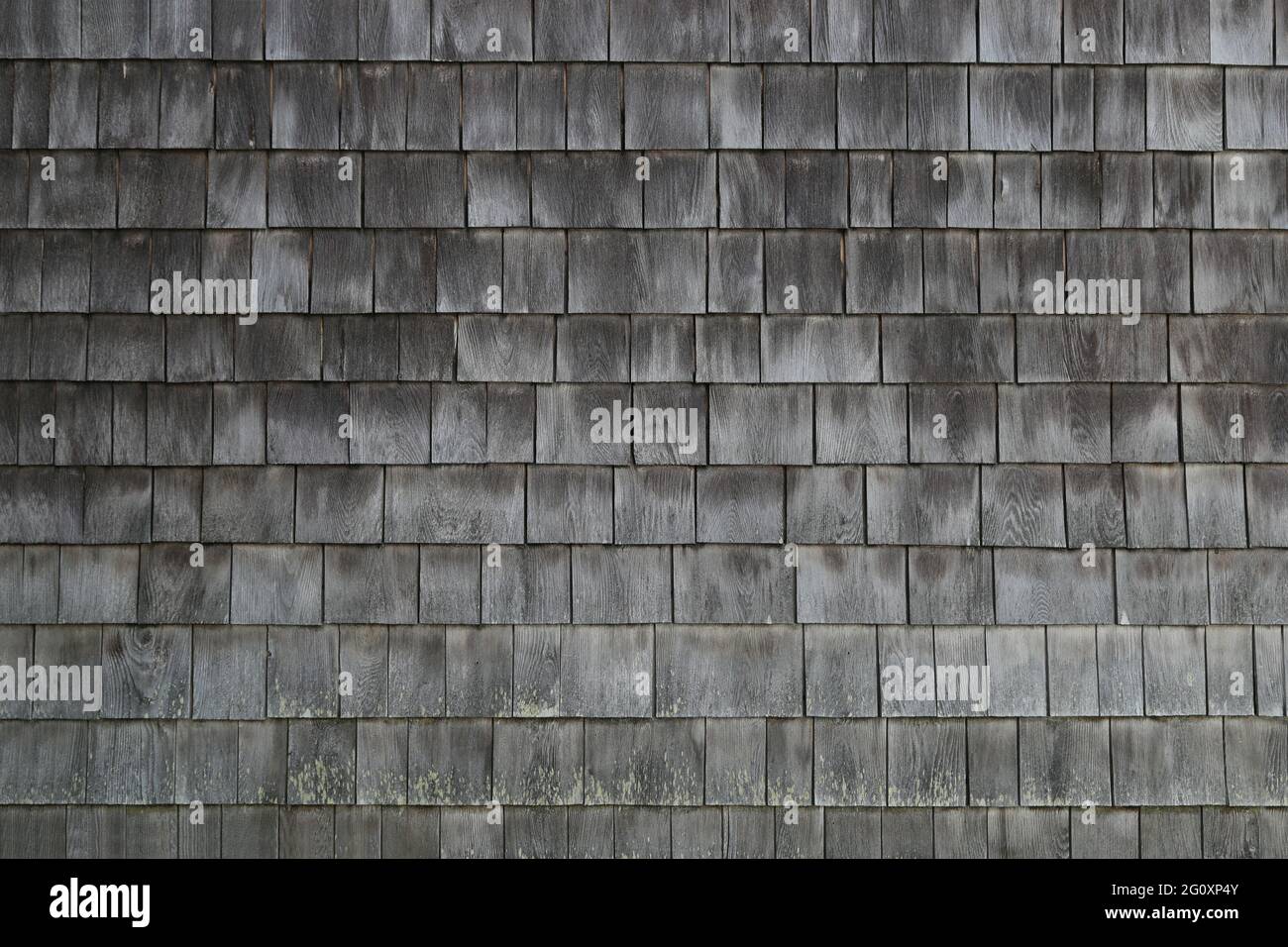 Cedar Siding Texture