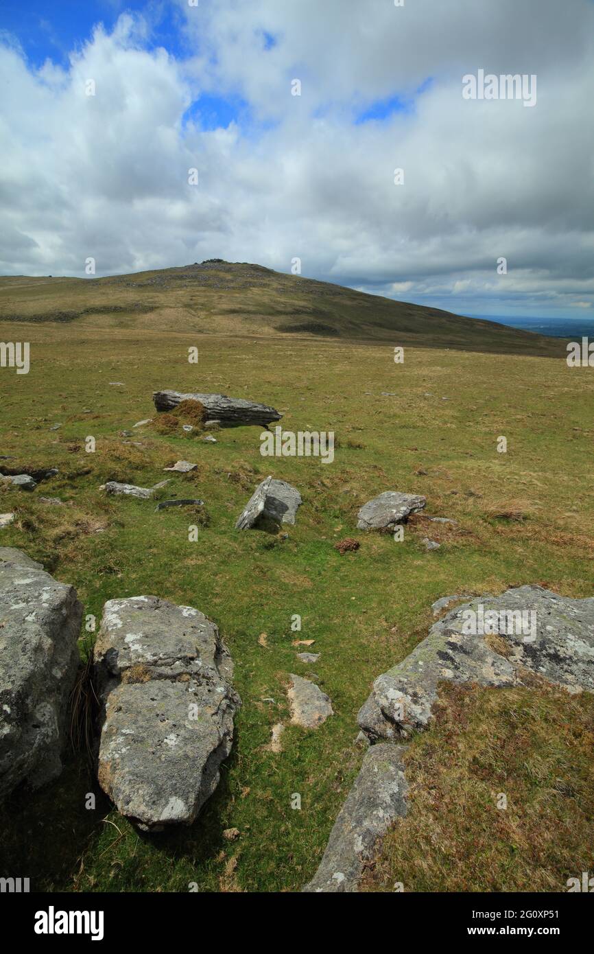 Yes Tor view from West Mill Tor, early summer, Dartmoor, Devon, England ...