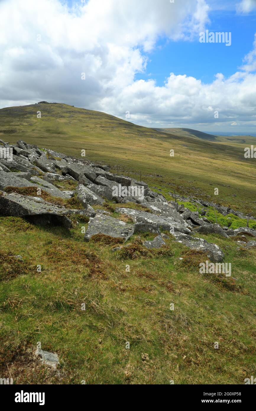 Yes Tor view from West Mill Tor, early summer, Dartmoor, Devon, England ...