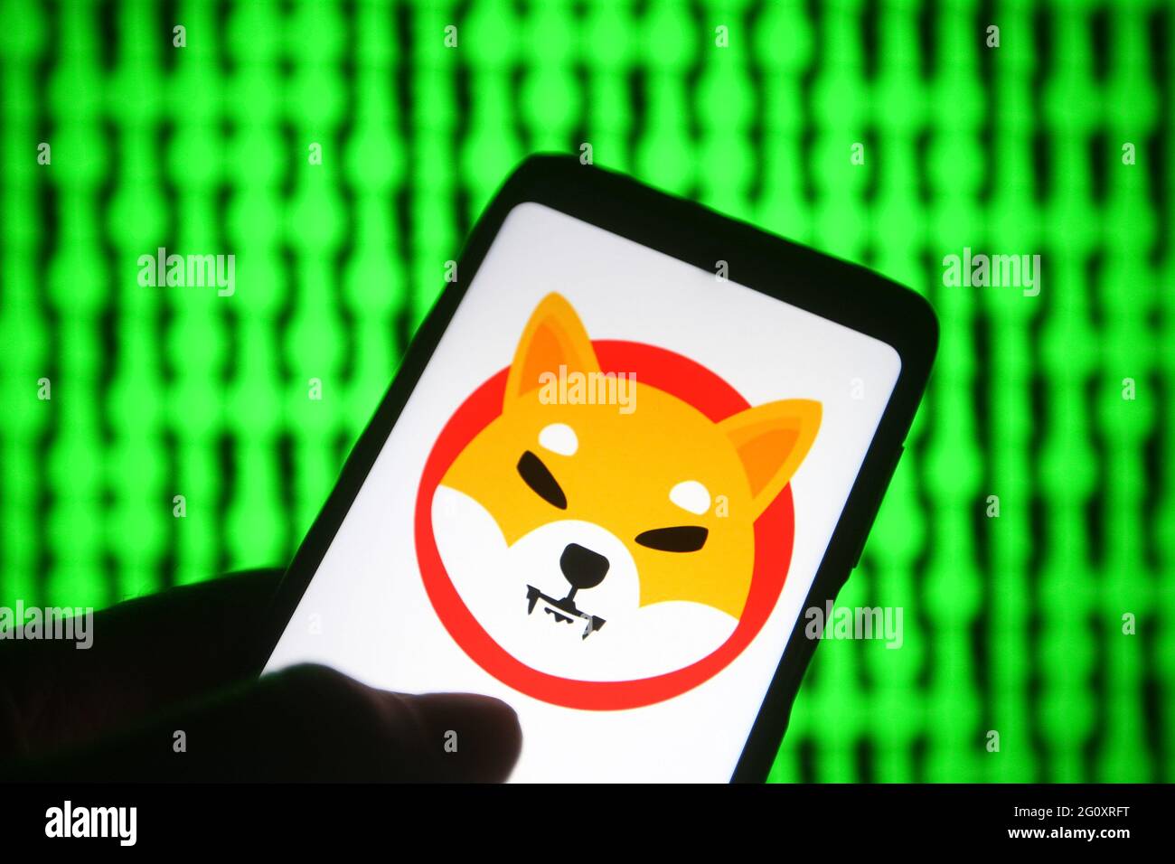 In this photo illustration, a Shiba Token (Shiba Inu) logo is seen on a ...