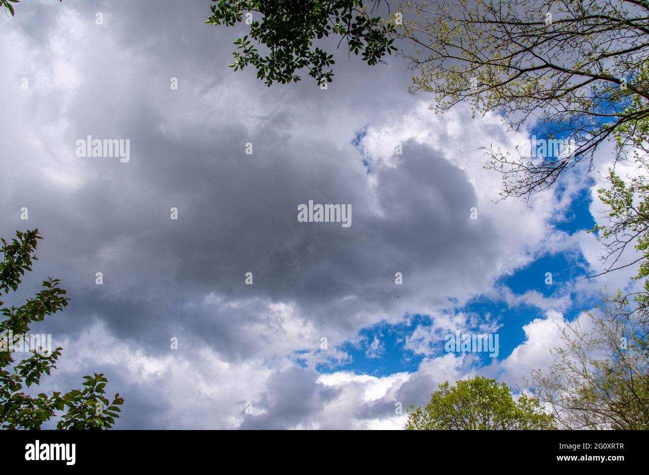 View into impressive spring sky with thick clouds as a texture or ...