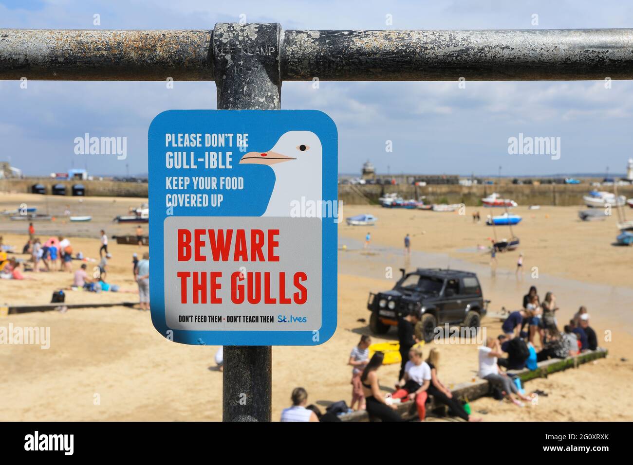 Beware of the gulls sign on the harbour in St Ives, in Cornwall, UK ...