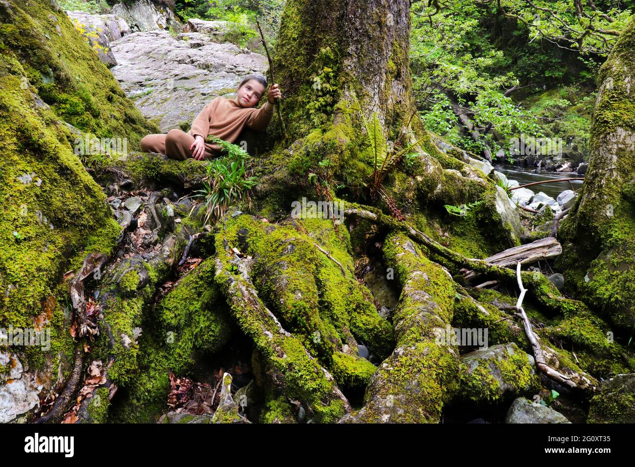 child resting in the forest Stock Photo - Alamy