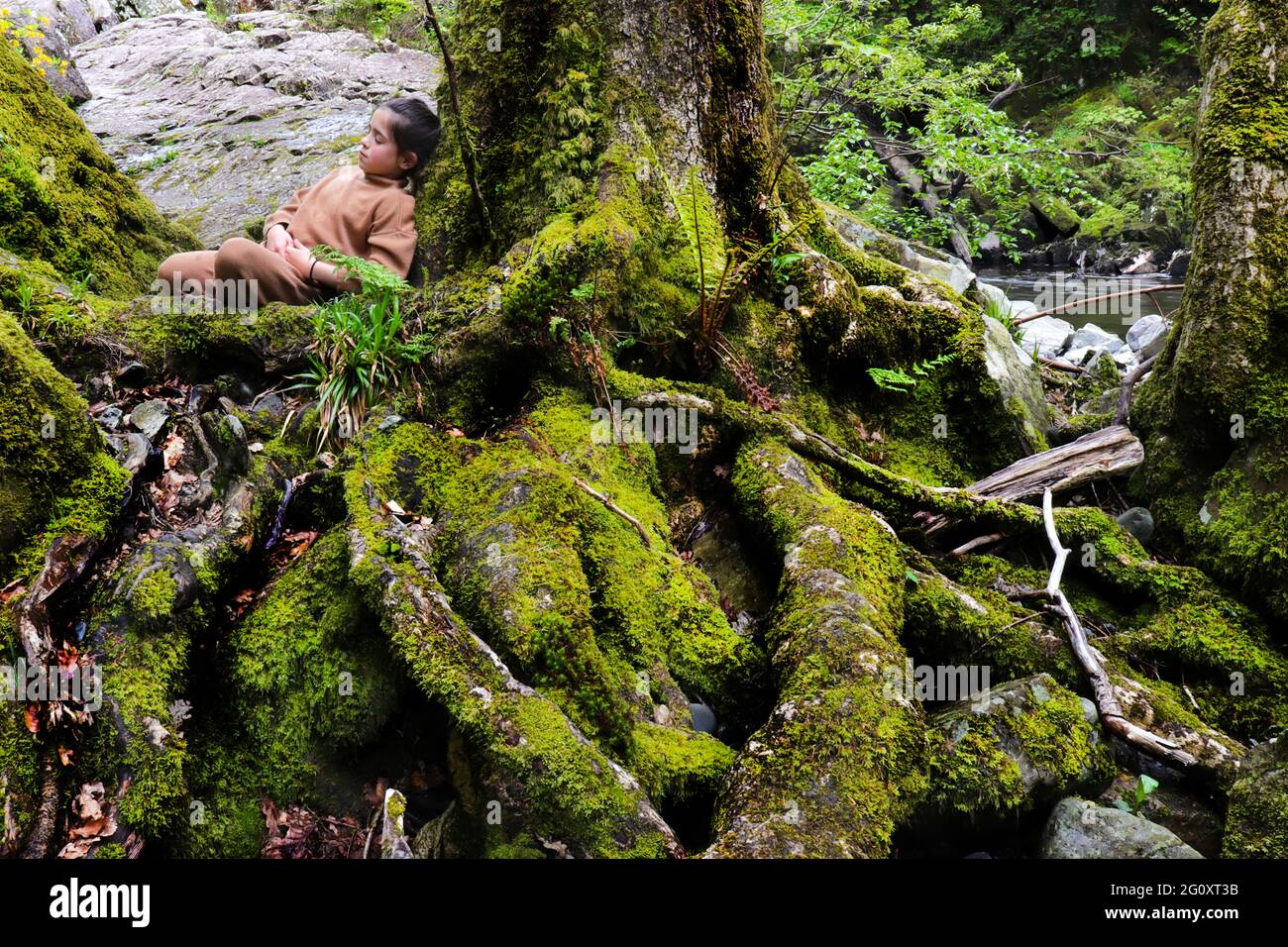 child resting in the woods Stock Photo - Alamy