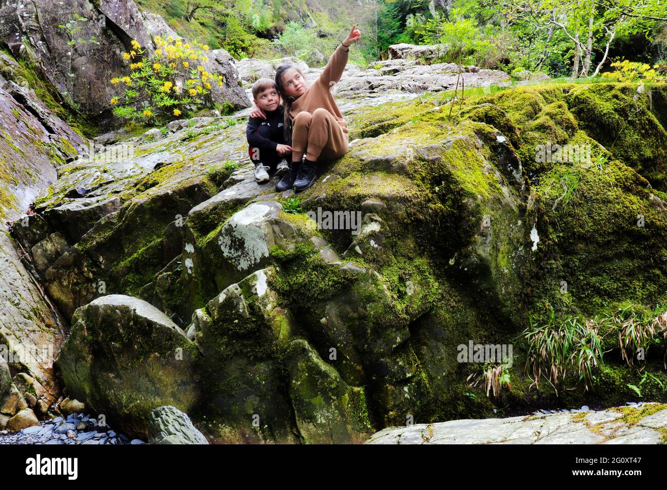Children in the woods hi-res stock photography and images - Alamy