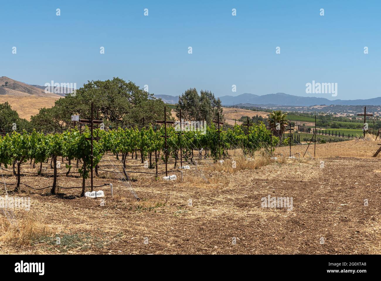 Assisi valley view of assisi hi-res stock photography and images - Alamy