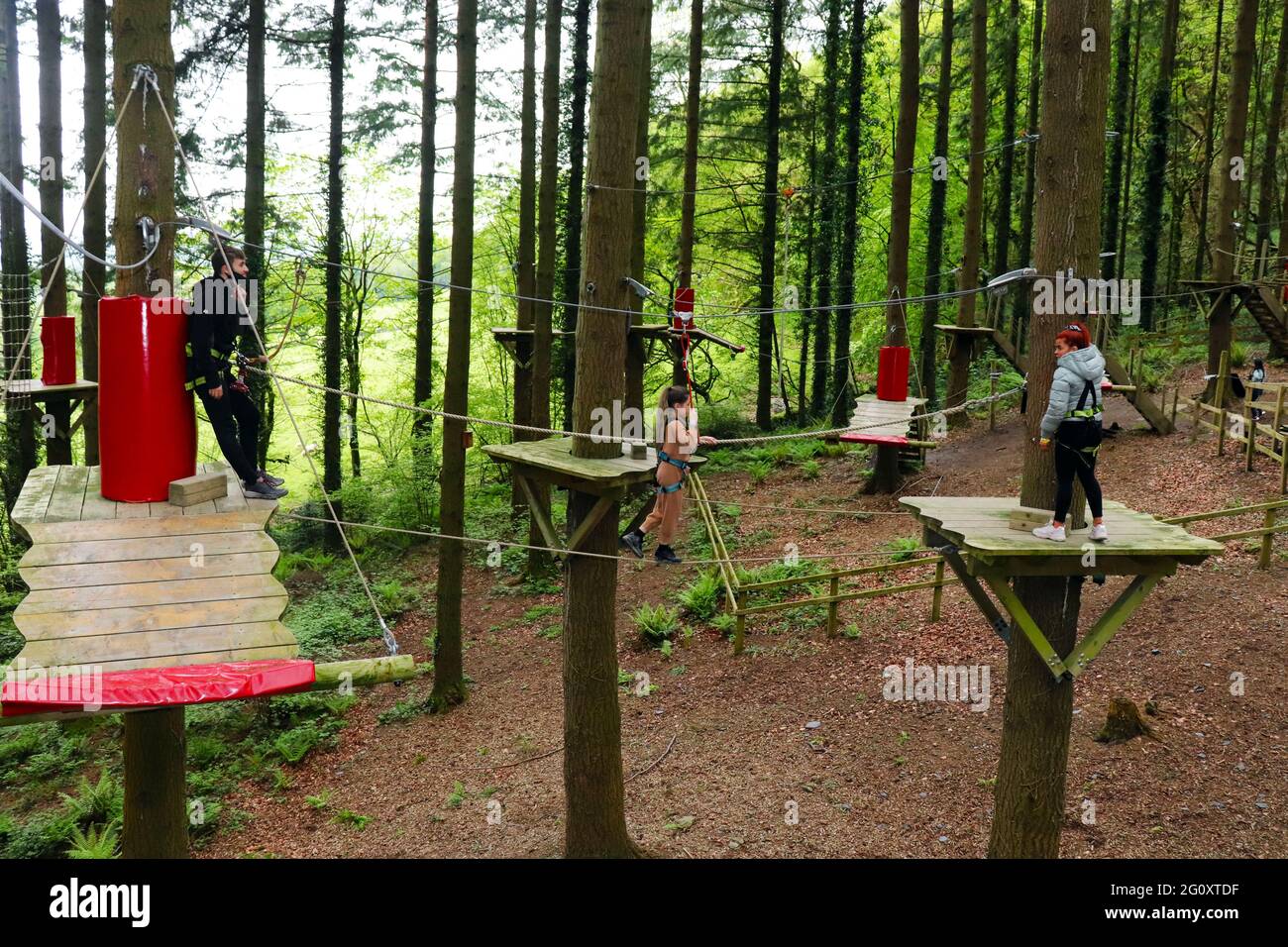 Children tree walking ropes hi-res stock photography and images - Alamy