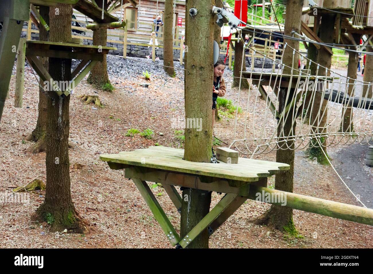 Blue forest treehouse hi-res stock photography and images - Alamy