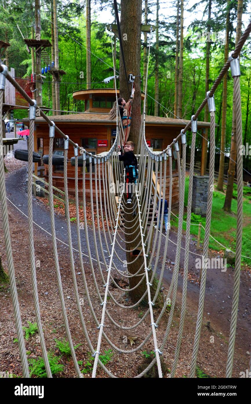 Zip World Fforest, Wales, UK Stock Photo - Alamy