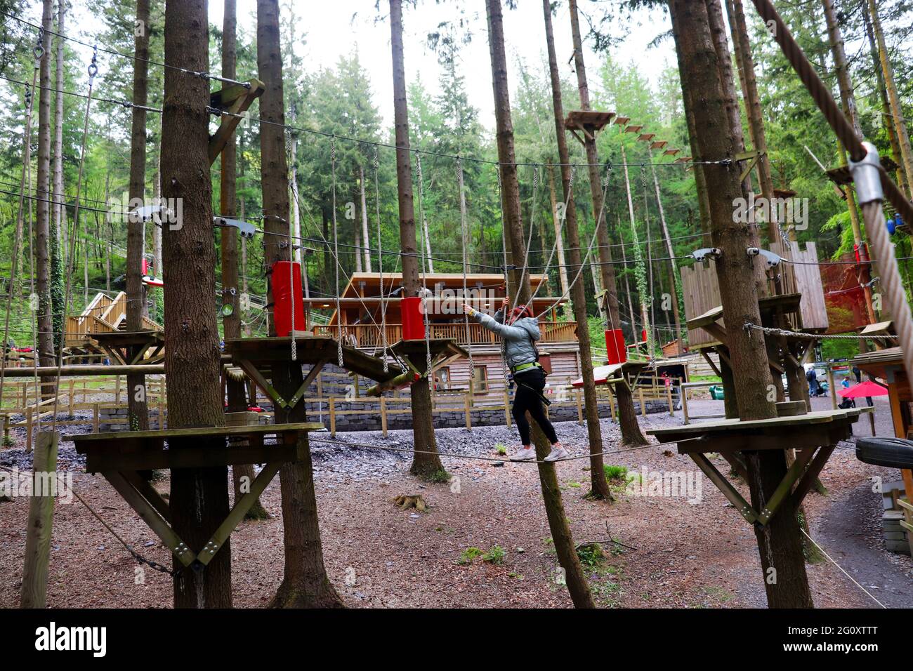 Zip World Fforest, Wales, UK Stock Photo - Alamy