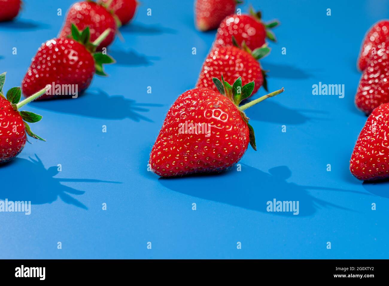 Strawberry ripe fruit on blue background. Harvest of fresh red berry ...