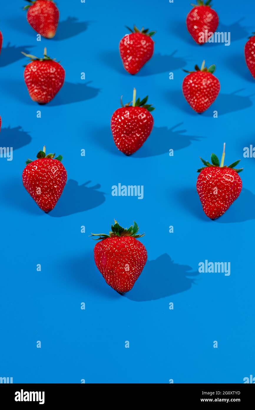 Red strawberries on blue background. Ripe tasty berry Stock Photo - Alamy