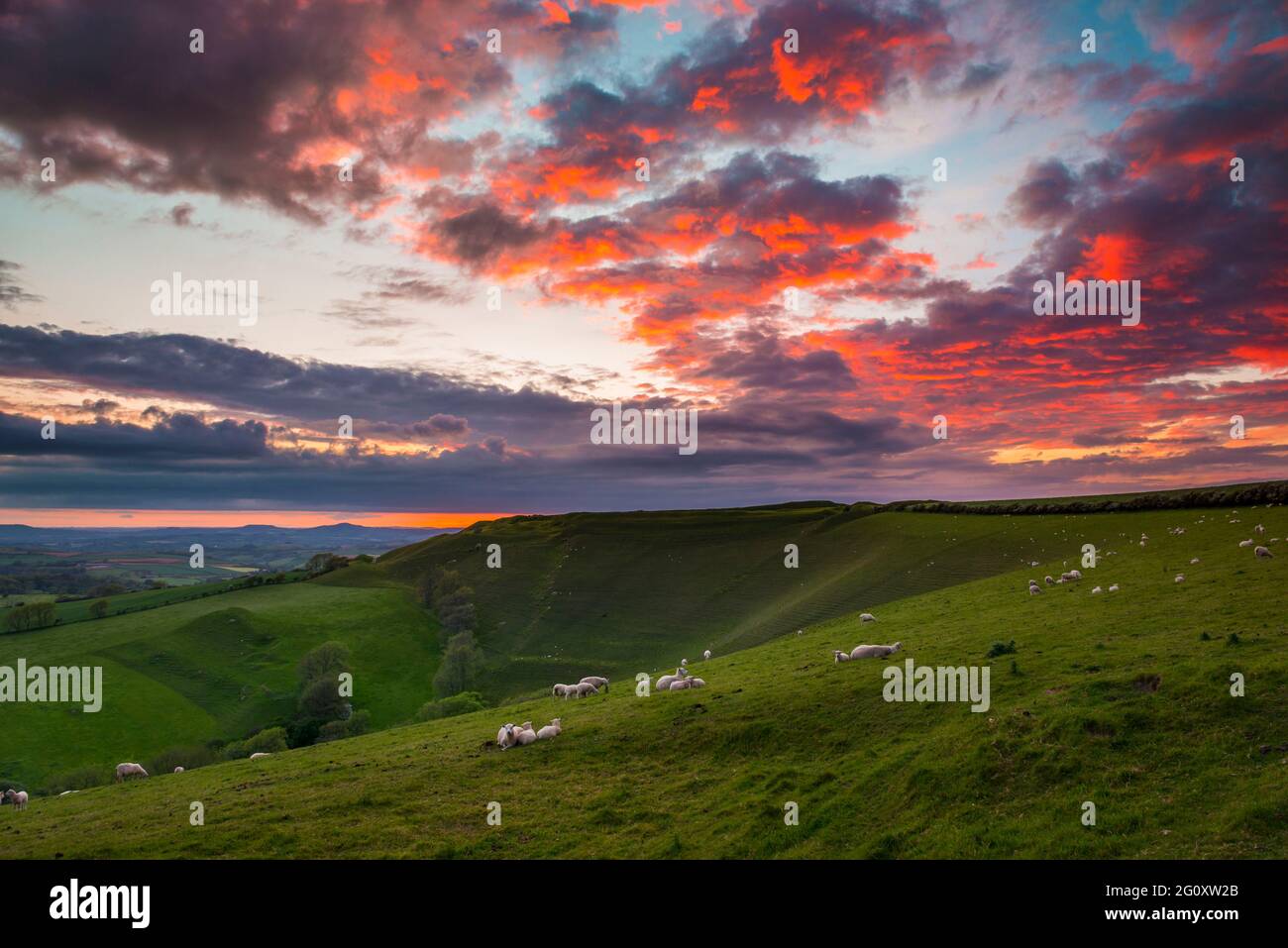 Askerswell, Dorset, UK. 3rd June 2021. UK Weather. A spectacular sunset ...